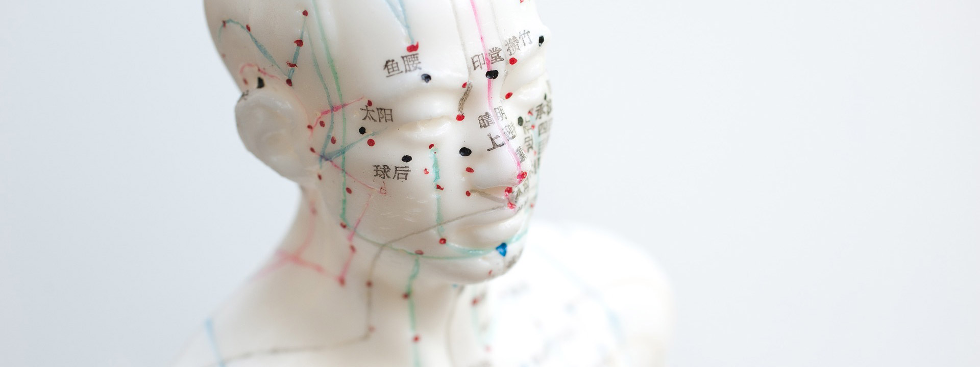 Advanced Integrative Palpation Based Acupuncture - AcuMed